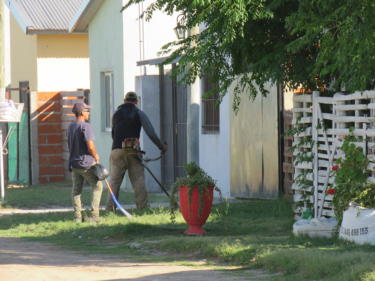 Plan 100 días | Municipalidad de Ibicuy, Prov. de Entre Ríos